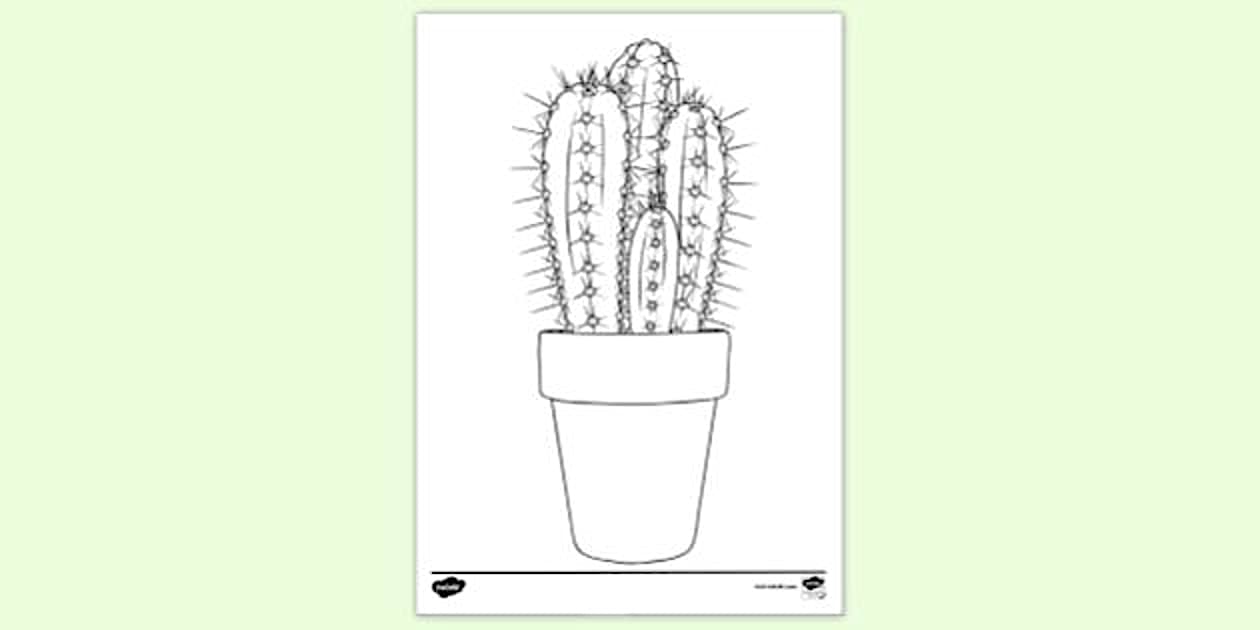 Cactus Colouring Page | Colouring Sheets (teacher made)