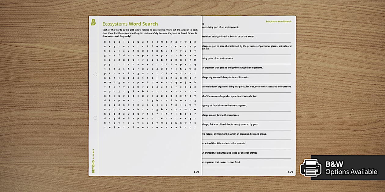 Ecosystem Word Search - Beyond Secondary - Science Resource