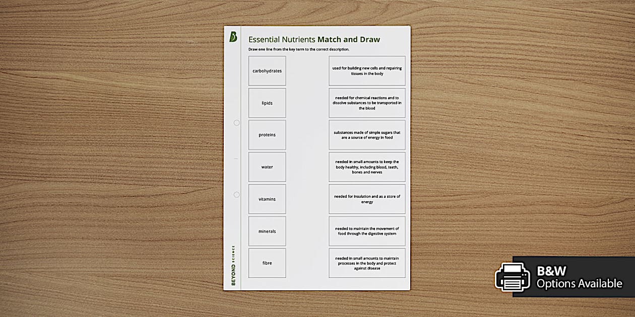 Essential Nutrients Match and Draw (teacher made) - Twinkl