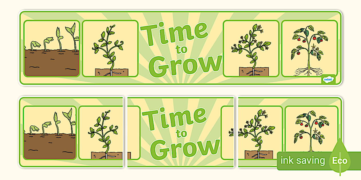 Time to Grow Display Banner - Twinkl - KS1 (teacher made)