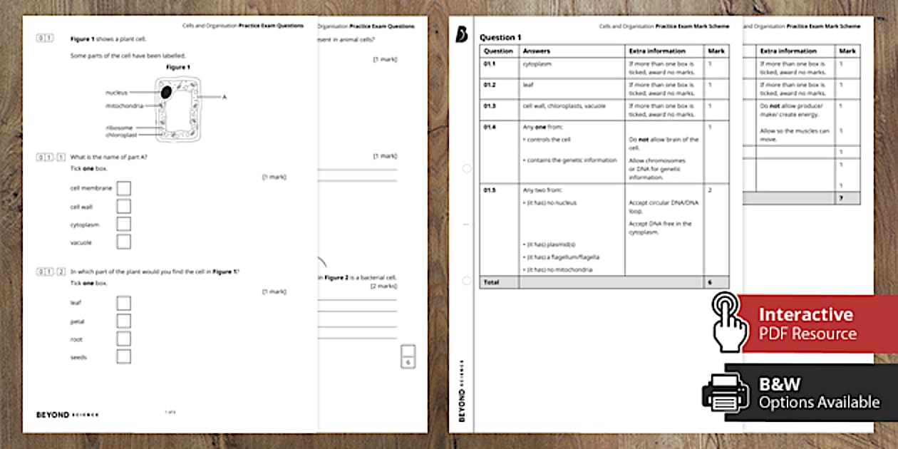 KS3 Cells and Organisation Practice Exam Questions Foundation