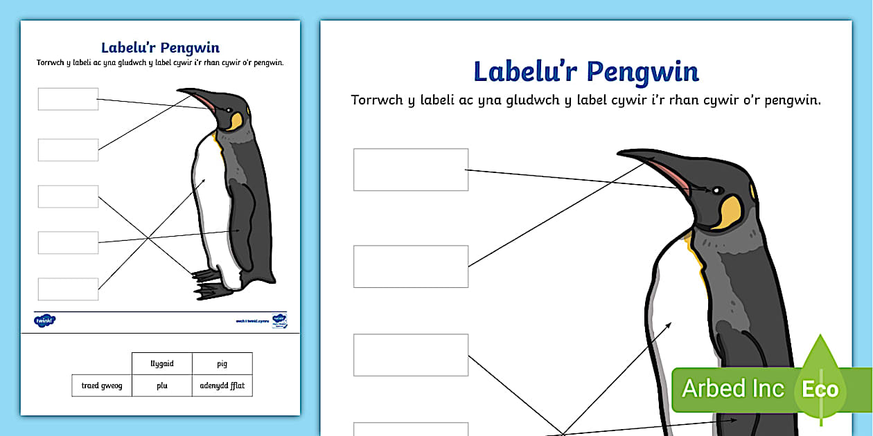 Taflen Waith Labelu'r Pengwin (teacher made) - Twinkl