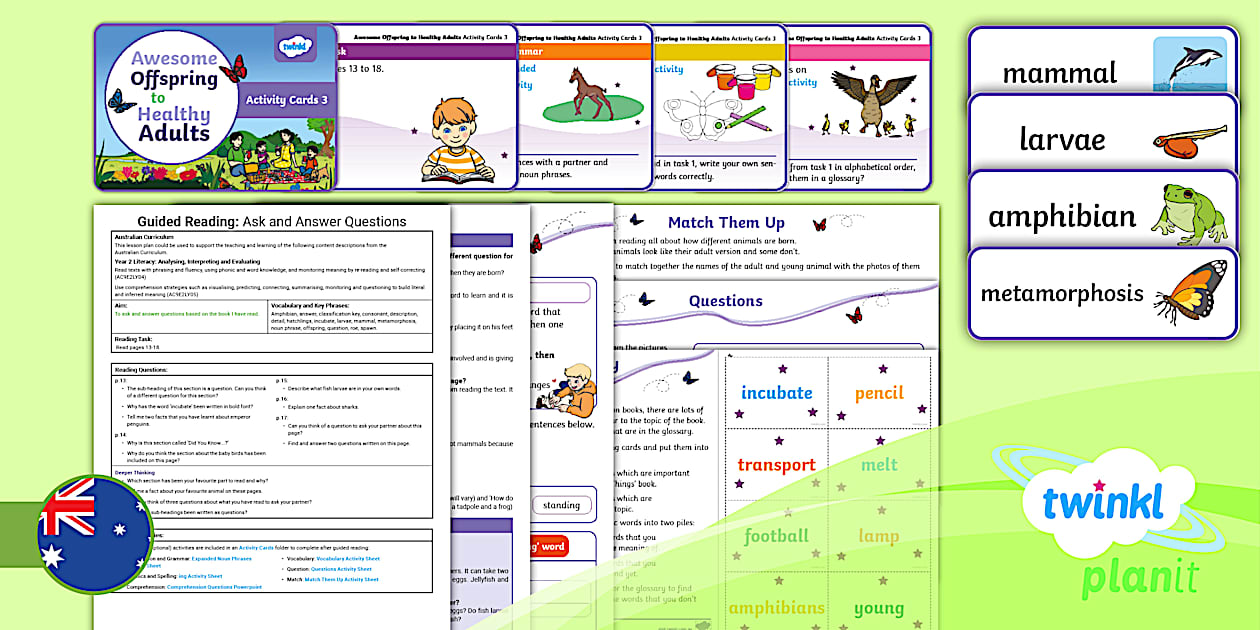Year 2 Living Things: Guided Reading Session 3 - Twinkl