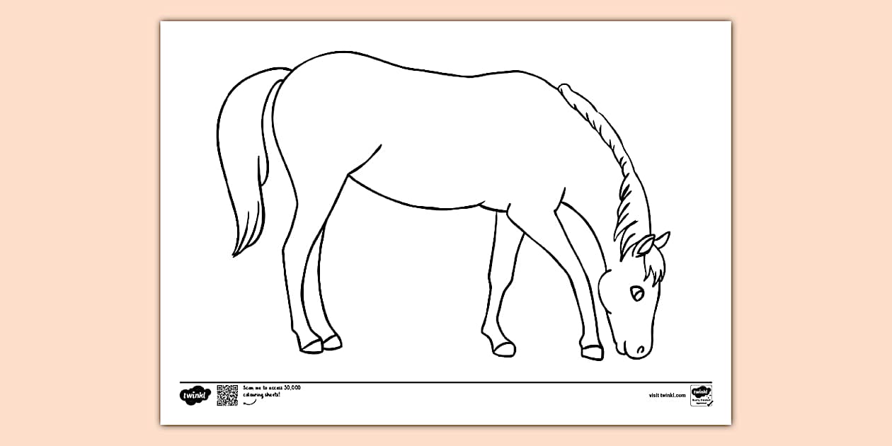 Horse Colouring Sheet | Colouring | Colouring Sheets