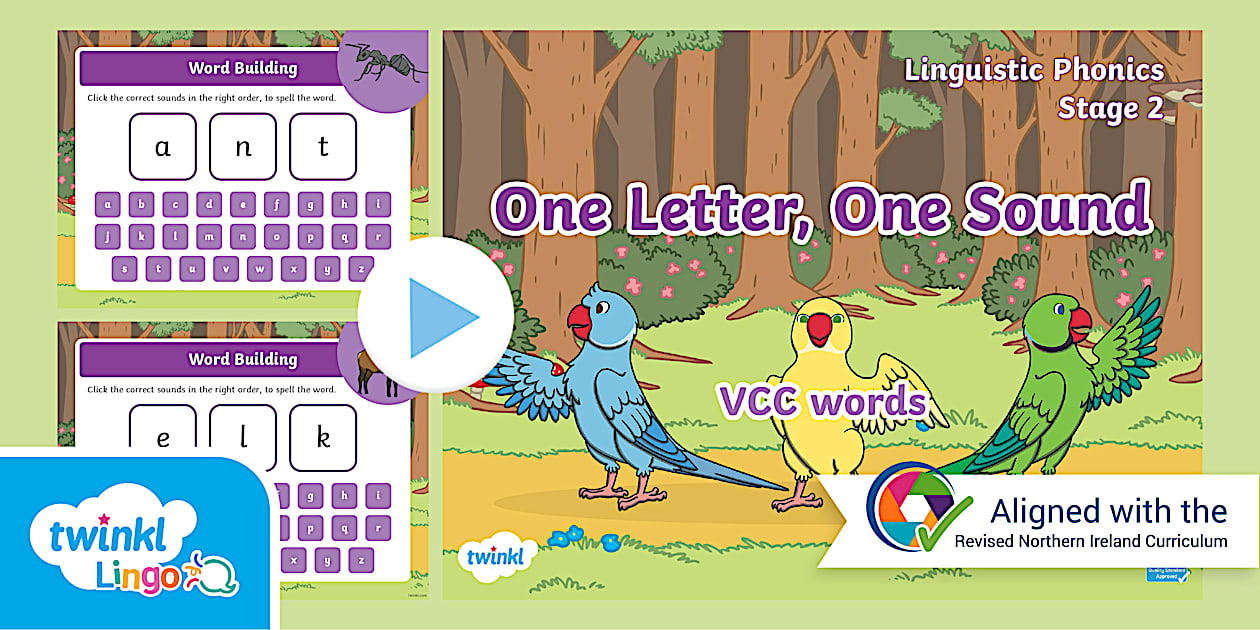 Northern Ireland Linguistics Phonics Stage 2: VCC words PowerPoint