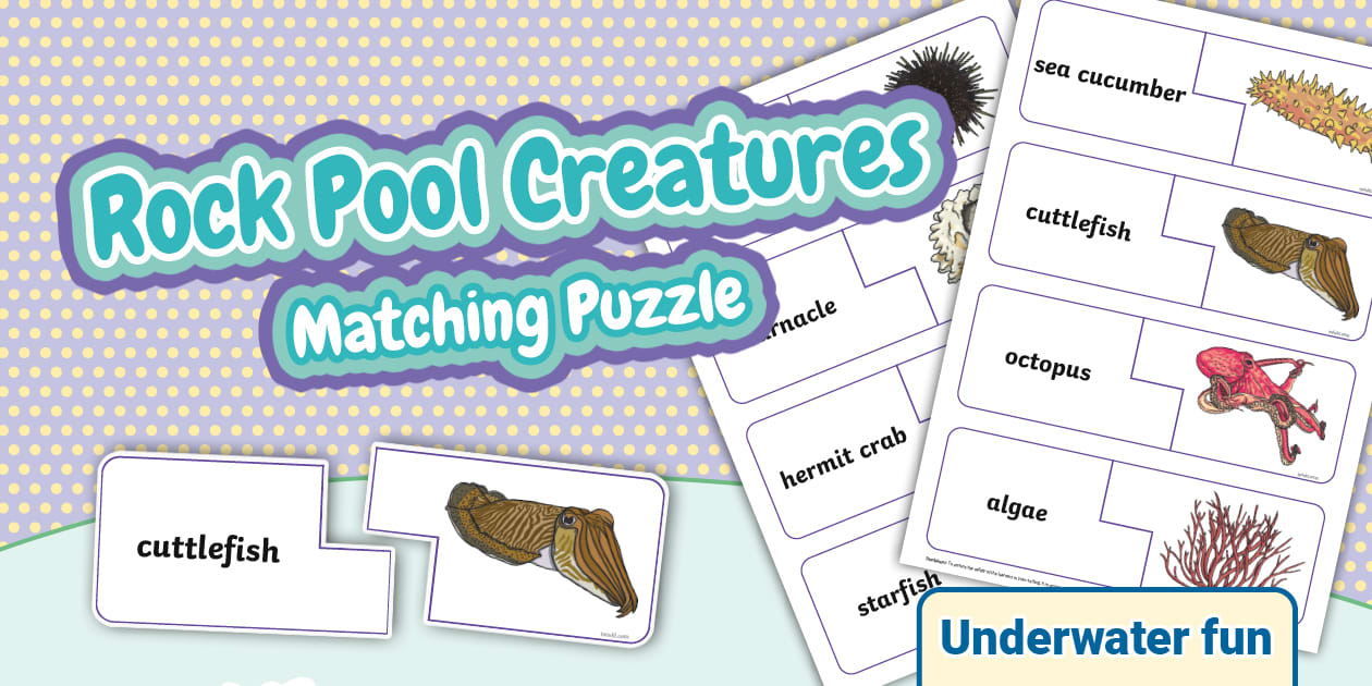 * NEW * Foundation Phase Life Skills - Rock Pool Creatures - Matching ...