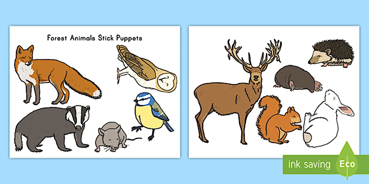 Forest Animals Stick Puppets (Teacher-Made) - Twinkl
