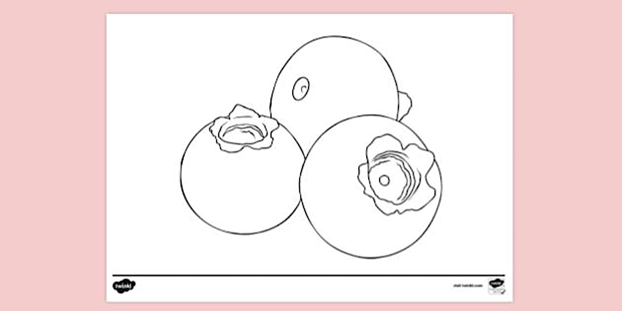 Blueberries Colouring Sheet | Colouring Sheets - Twinkl