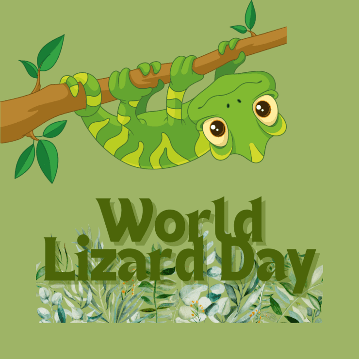 World Lizard Day 2025 New Zealand - Twinkl