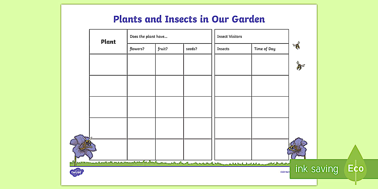 Garden Plants and Insects Record Sheet (teacher made)