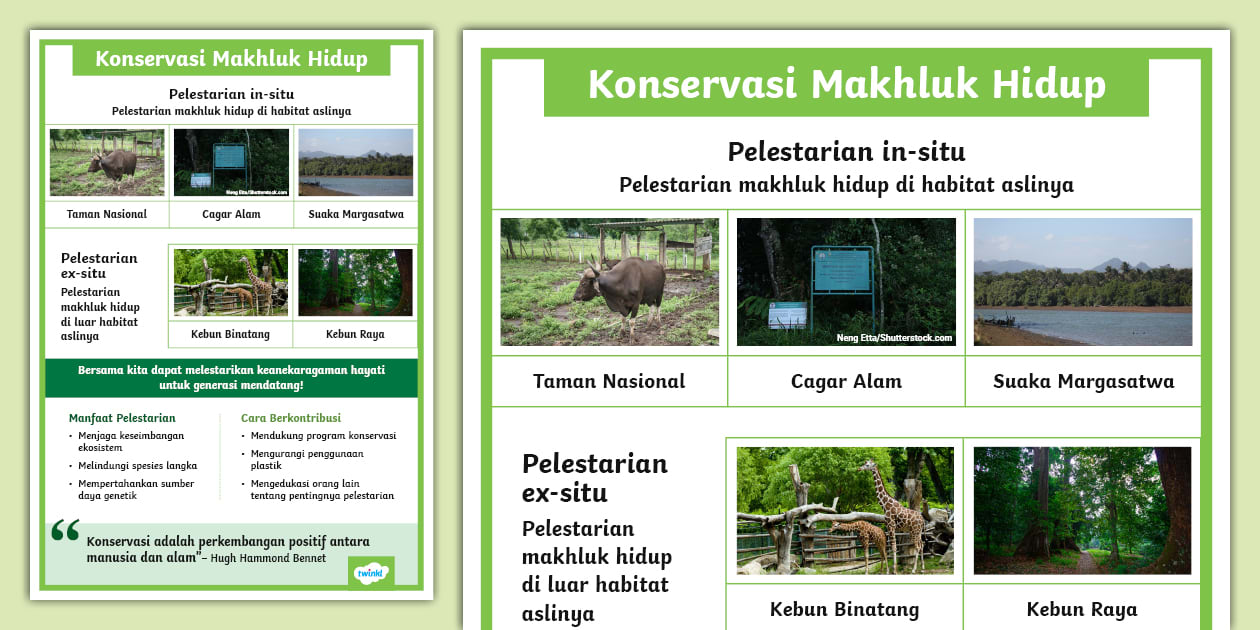 Poster Konservasi Makhluk Hidup (Teacher-Made) - Twinkl