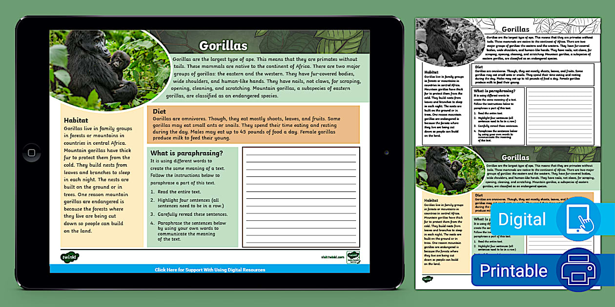 Fourth Grade Gorillas Paraphrasing Worksheet - Twinkl