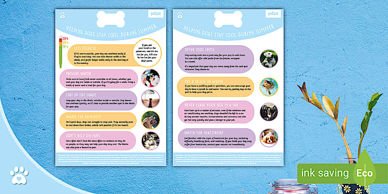 How to Keep Dogs Cool - Information Sheet - Summer - Pets