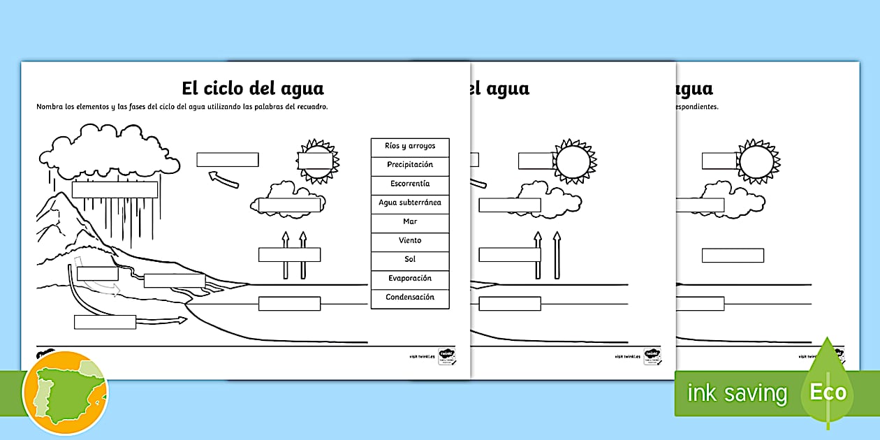 Ficha de actividad de atención a la diversidad: El ciclo del agua