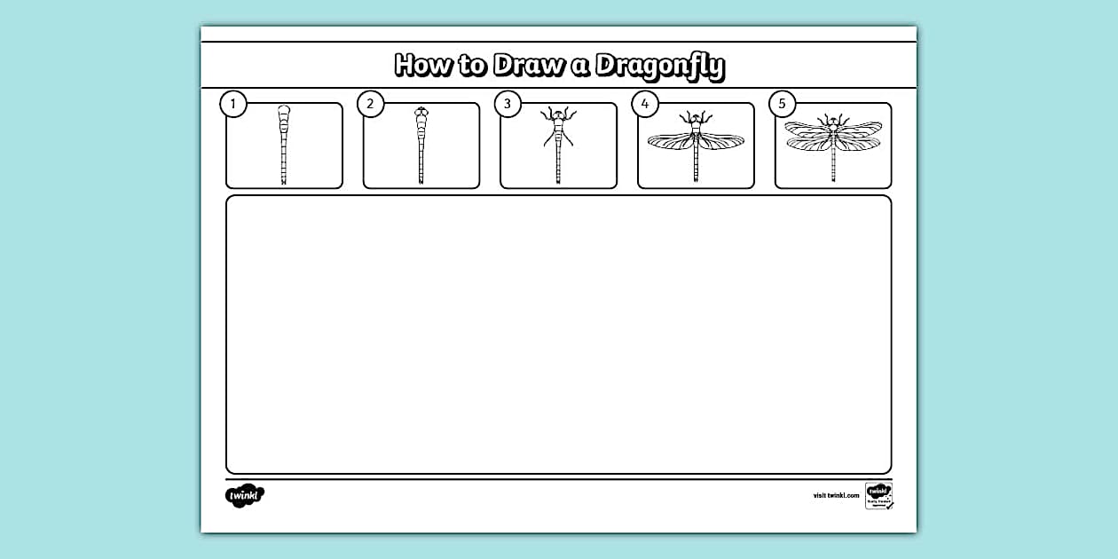 How to Draw a Dragonfly (teacher made) - Twinkl