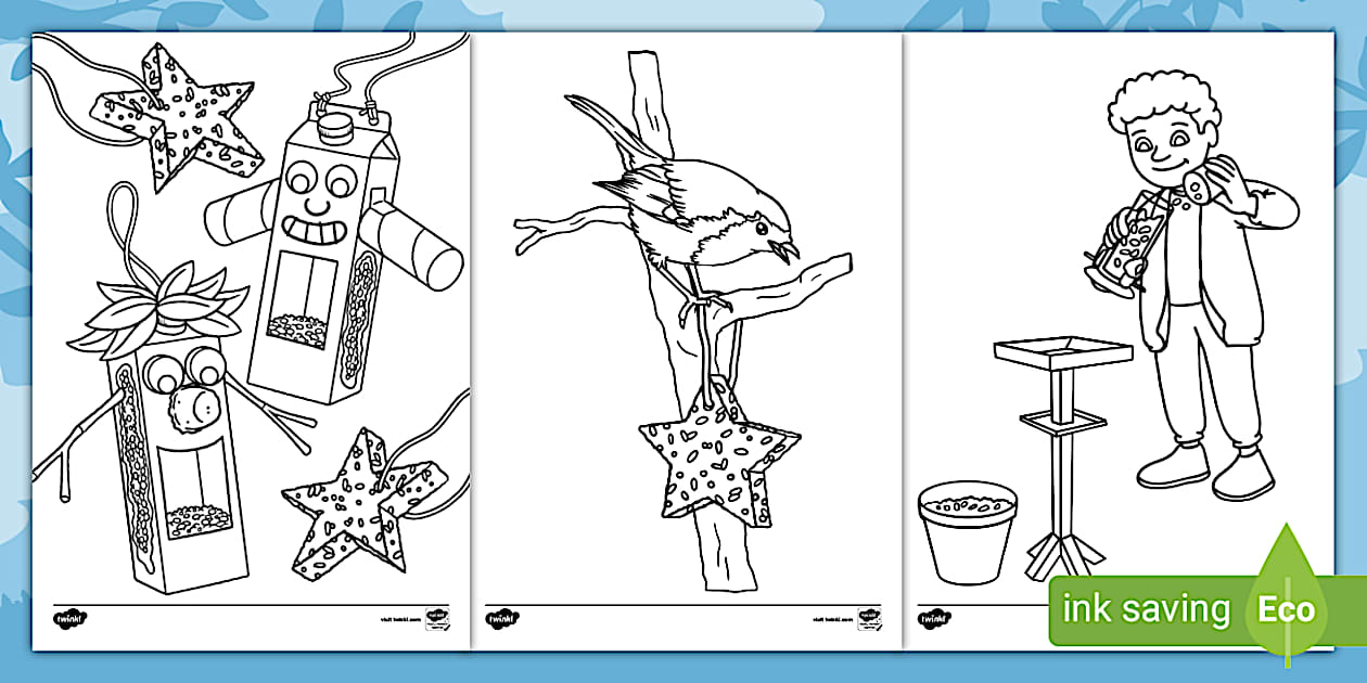 Bird Feeder Colouring Pages (teacher made) - Twinkl
