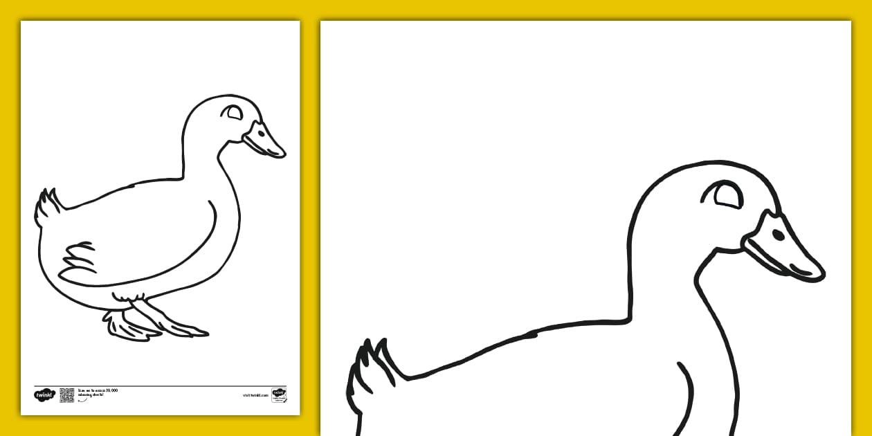 Cute Duck Colouring | Colouring Sheets - Twinkl