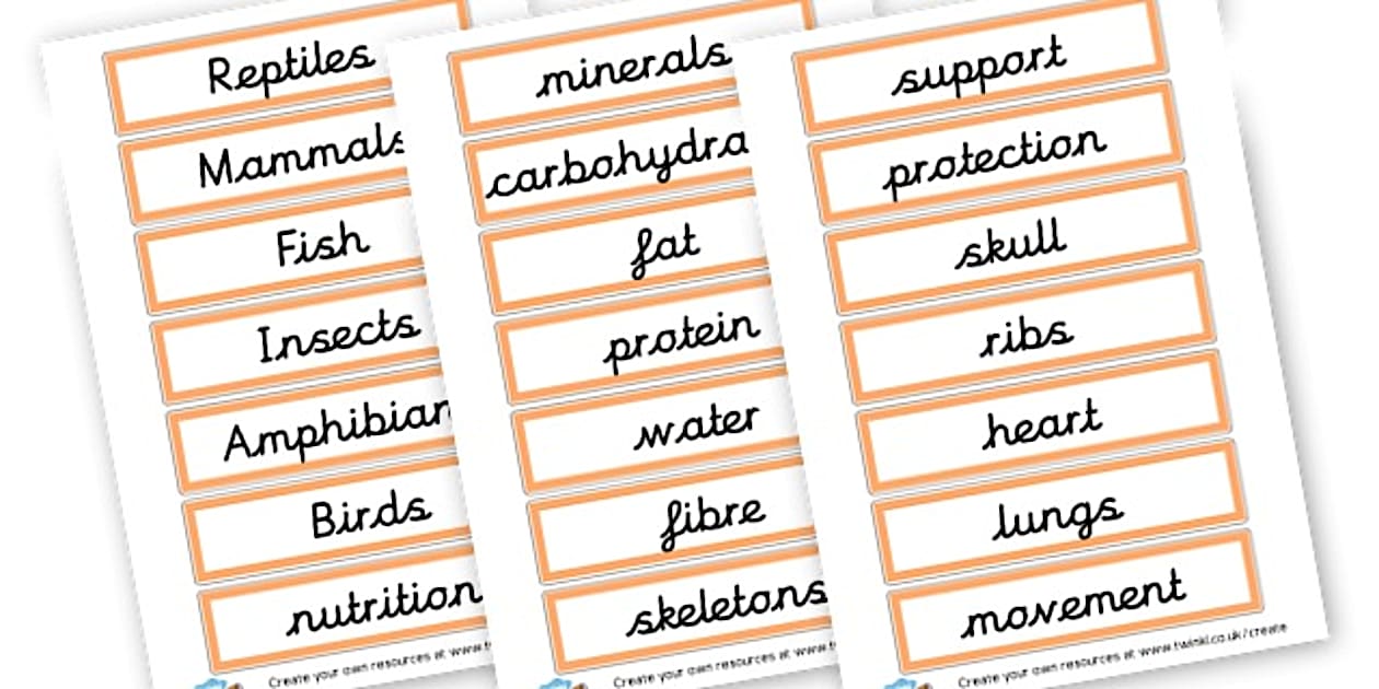 Humans & Other Animals Primary Resources