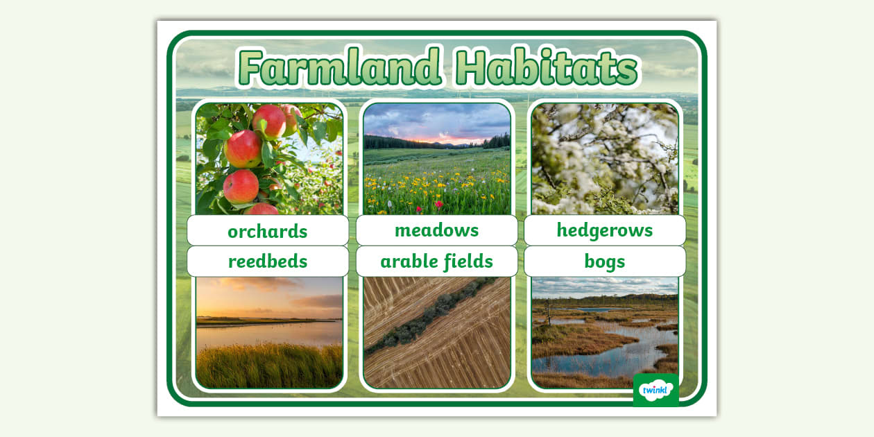 Farmland Habitats Photo Display Poster (teacher made)