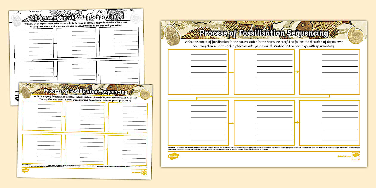 Process of Fossilisation Sequencing Mind Map - Twinkl