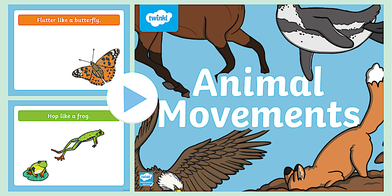Animal Movements PowerPoint (teacher made) - Twinkl