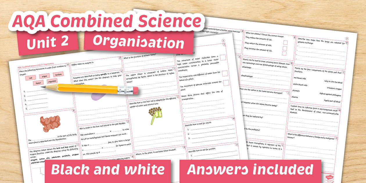 AQA Biology (Combined): Organisation Foundation Revision