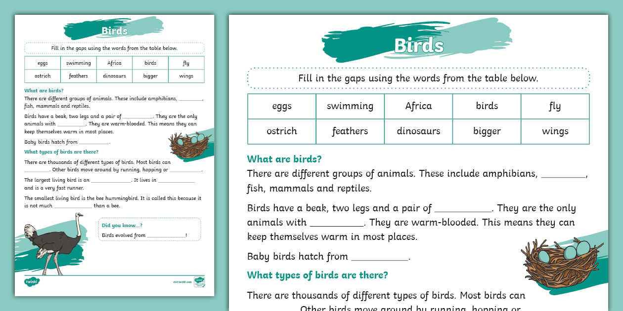 Birds Cloze Activity - Animals Including Humans - Twinkl
