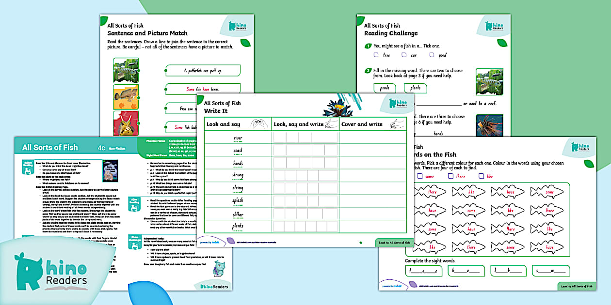 Level 4c All Sorts of Fish Guided Reading Pack - Twinkl