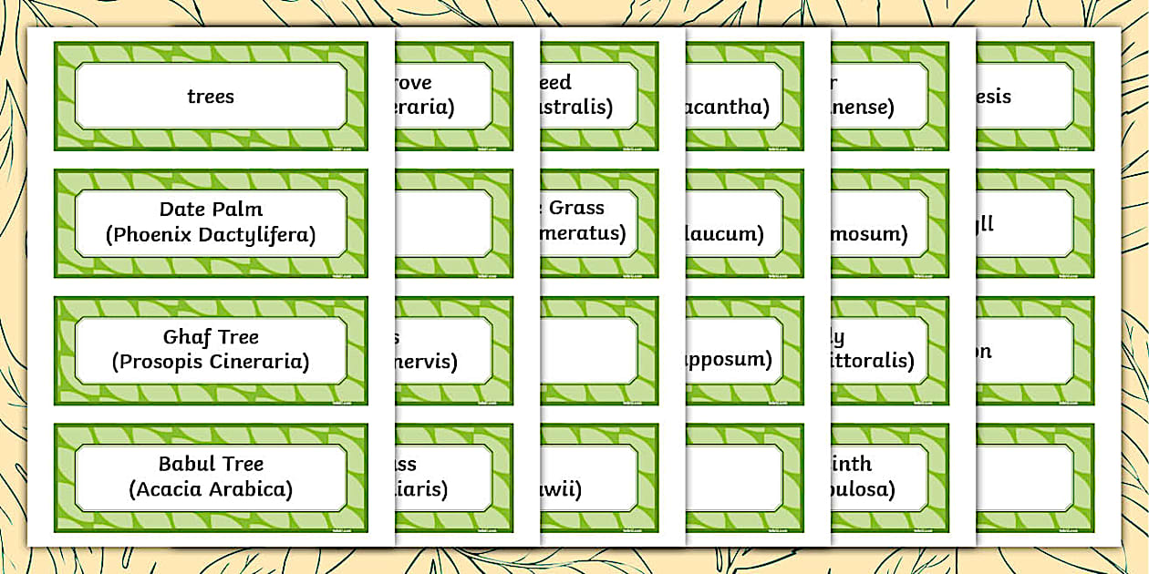 UAE Plants - Word Cards