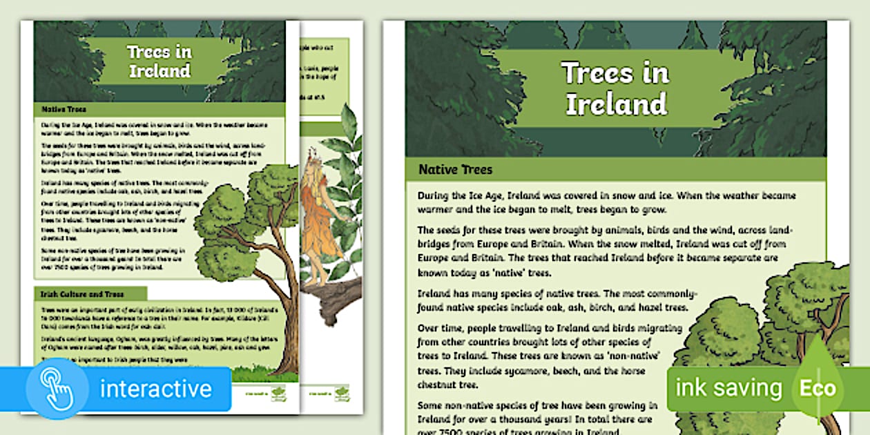 Middle Ability Trees in Ireland Reading Comprehension Activity