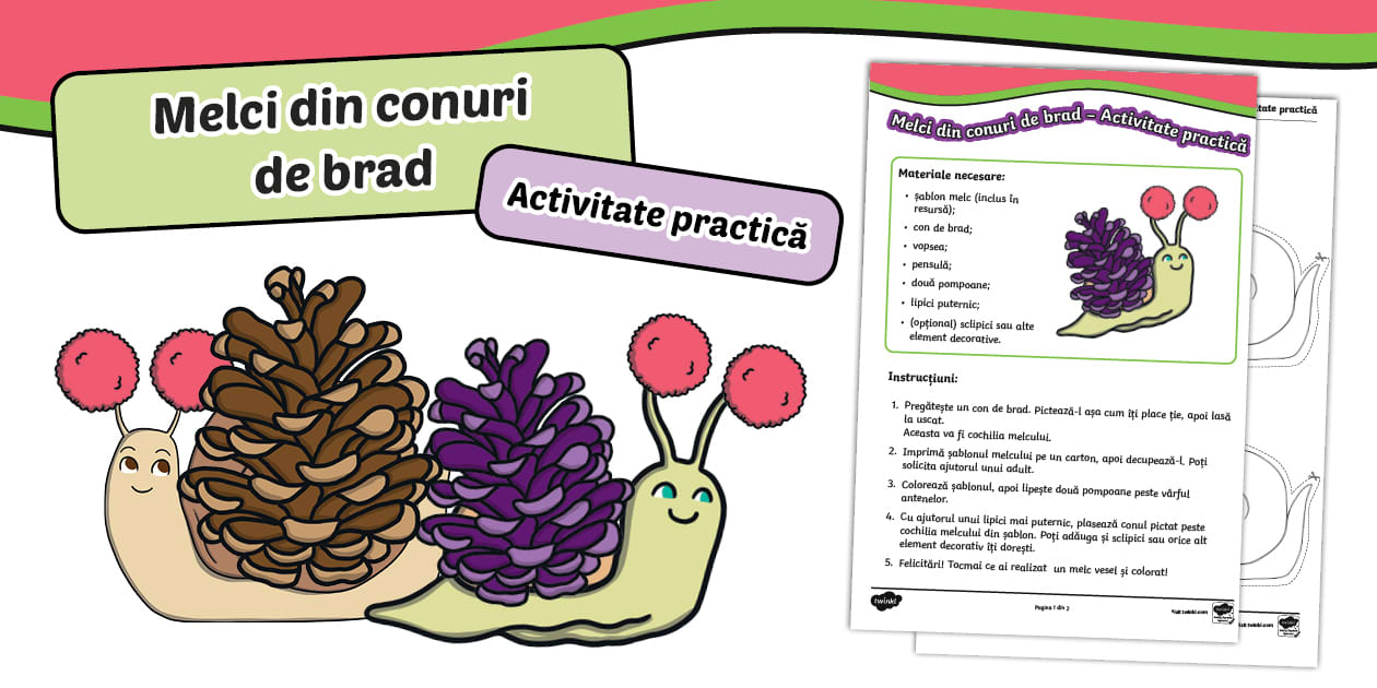 Melci din conuri de brad – Activitate practică