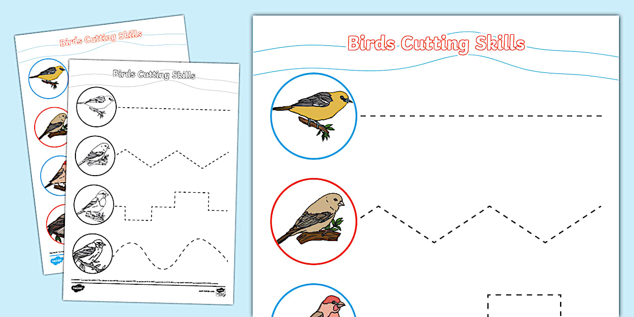 Birds Cutting Skills Activity