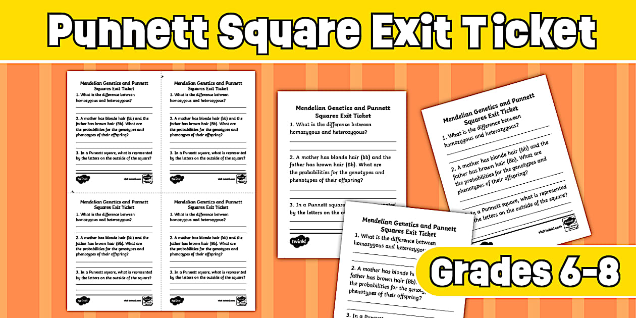 Mendelian Genetics and Punnett Squares Exit Ticket for 6-8