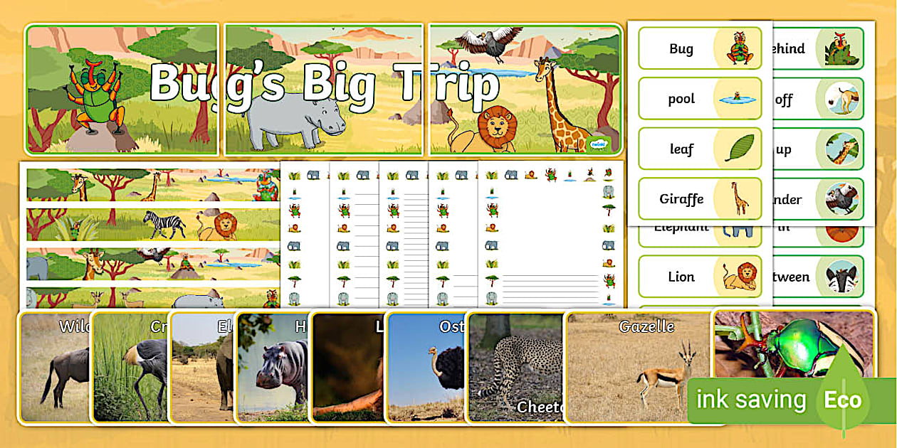 Bug's Big Trip Display Resource Pack (Teacher-Made) - Twinkl