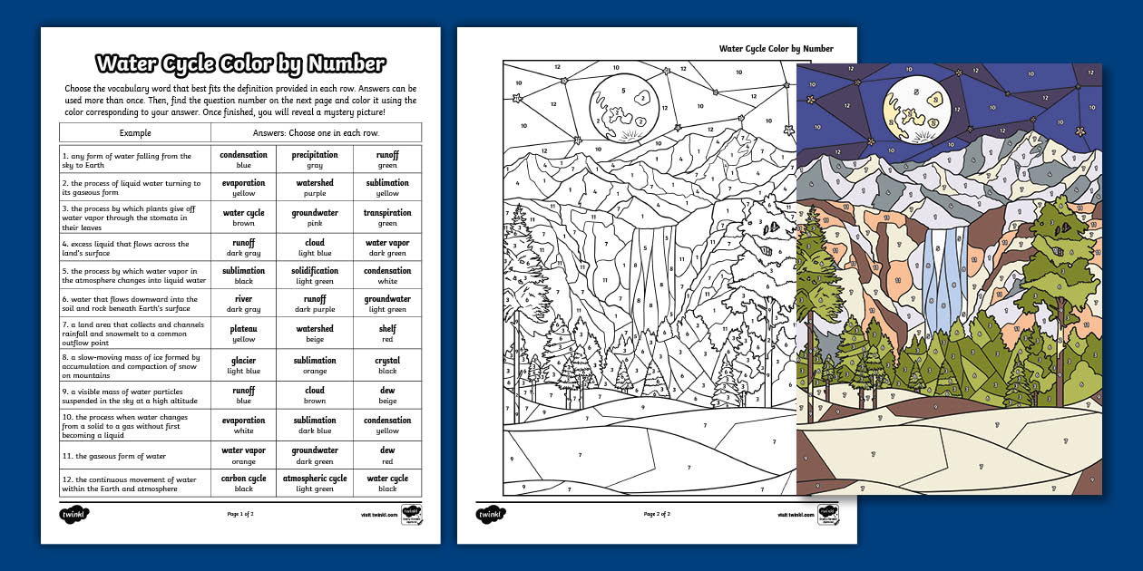 Color by Number Water Cycle Activity | Science | Twinkl USA