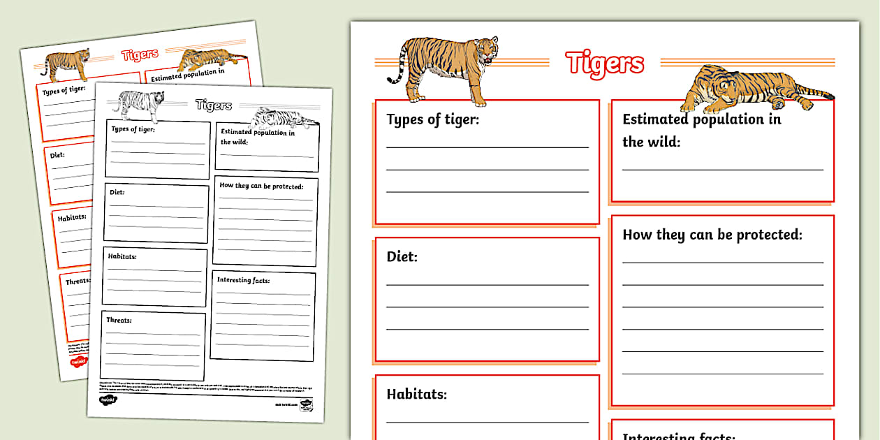 KS2 Tigers Fact File Template | International Tiger Day