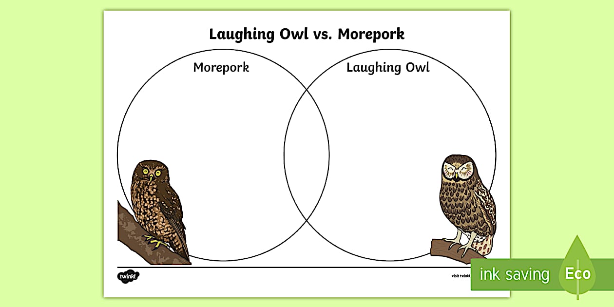 Laughing Owl vs. Morepork Venn Diagram Activity - Twinkl