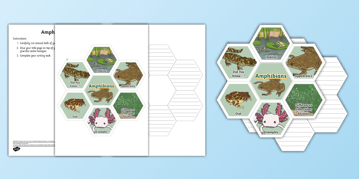 Amphibians Hexagon Writing Template - Twinkl Science