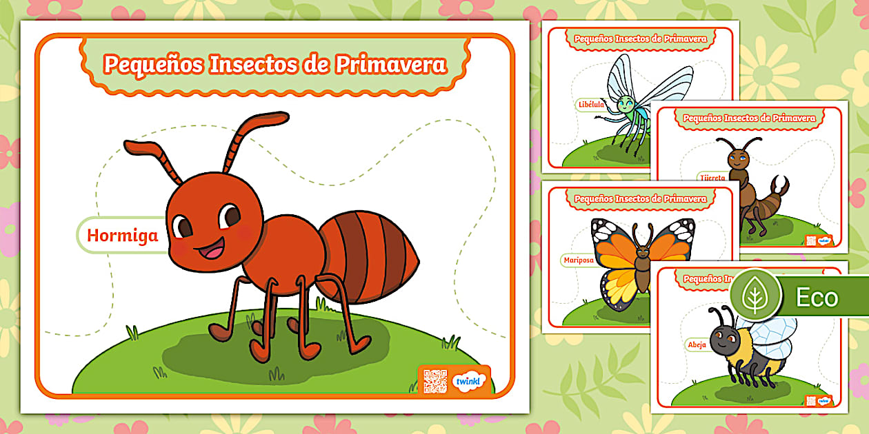 Póster: Pequeños Insectos de Primavera (teacher made)