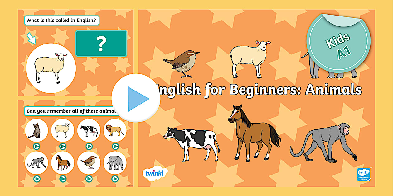 ESL English for Beginners: Animals [Kids, A1] - Twinkl