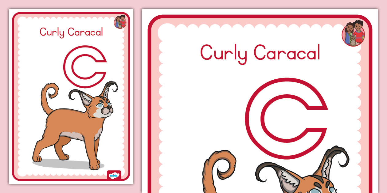 Gr R Phonics T1 - c Sound - Sound Character Poster (CAPS)