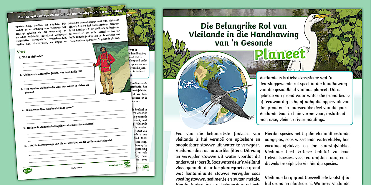 Die Belangrike Rol van Vleilande in die Handhawing van 'n Gesonde Planeet