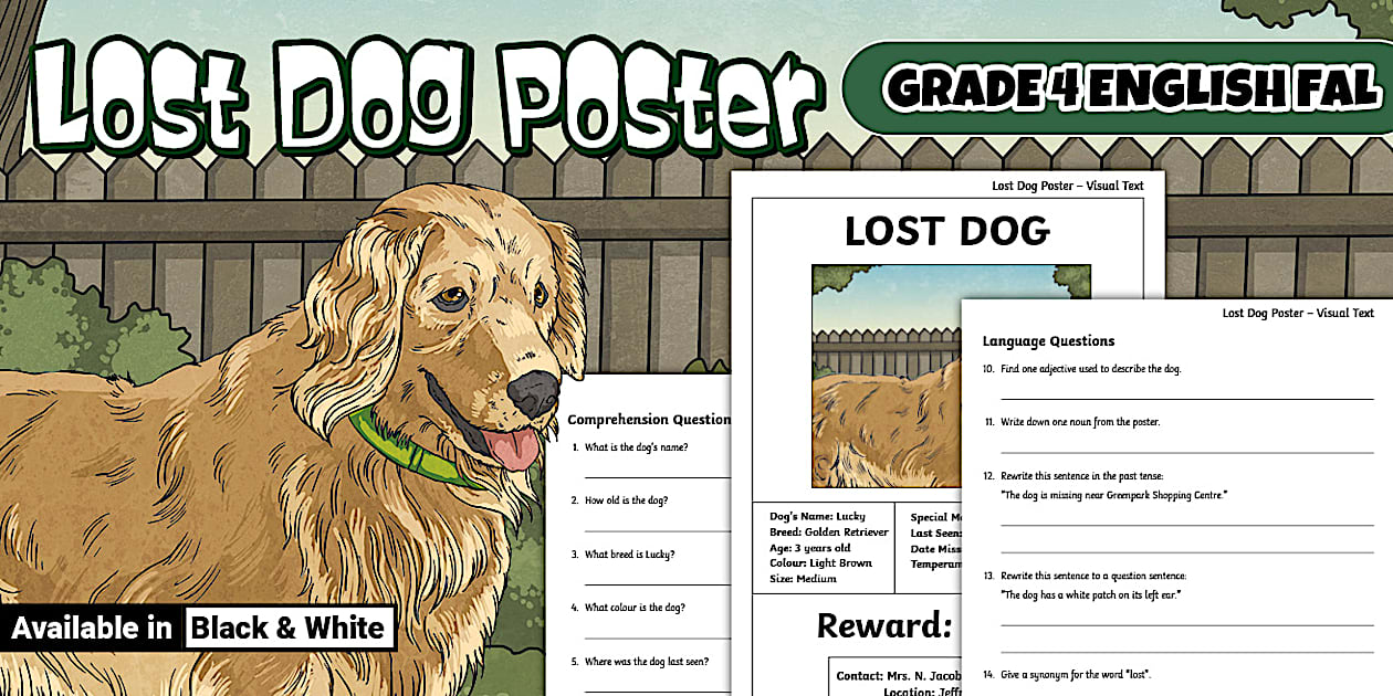 FAL – Lost Dog Poster – Visual Text