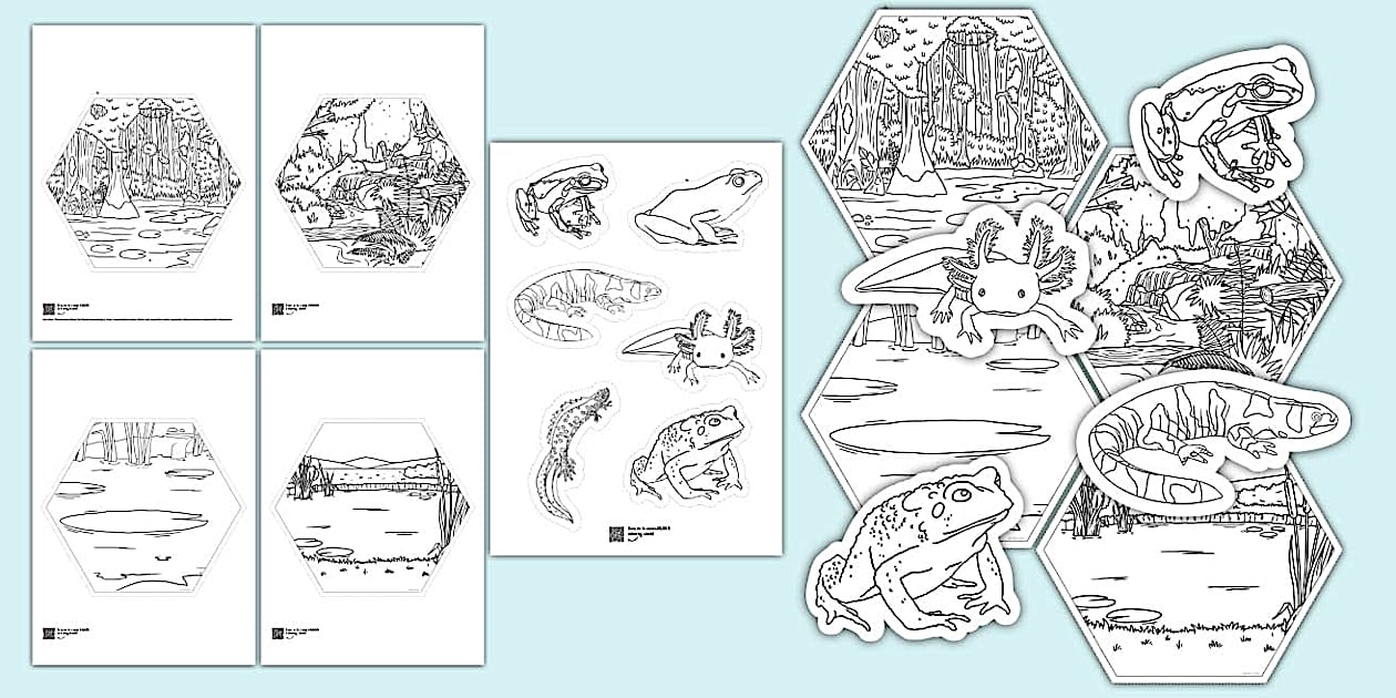 * NEW * Amphibians Hexagon Display Colouring Activity