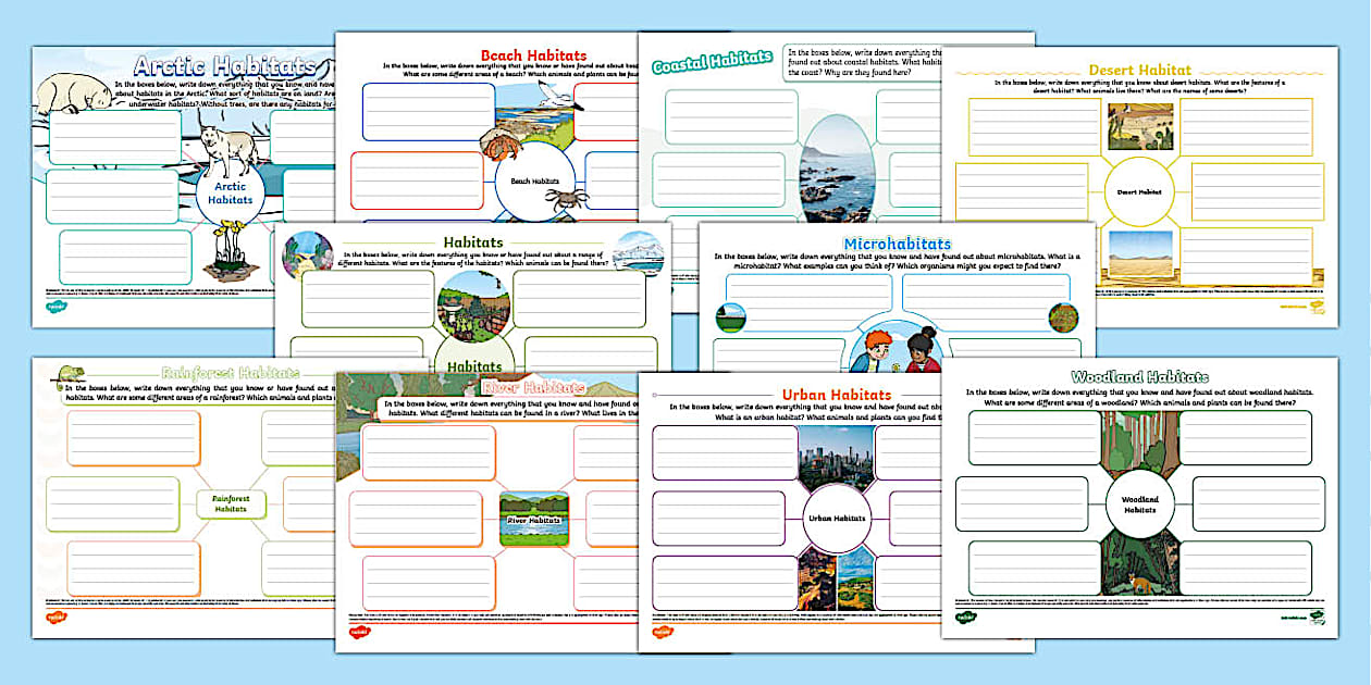 Habitats Mind Map Pack (teacher made) - Twinkl