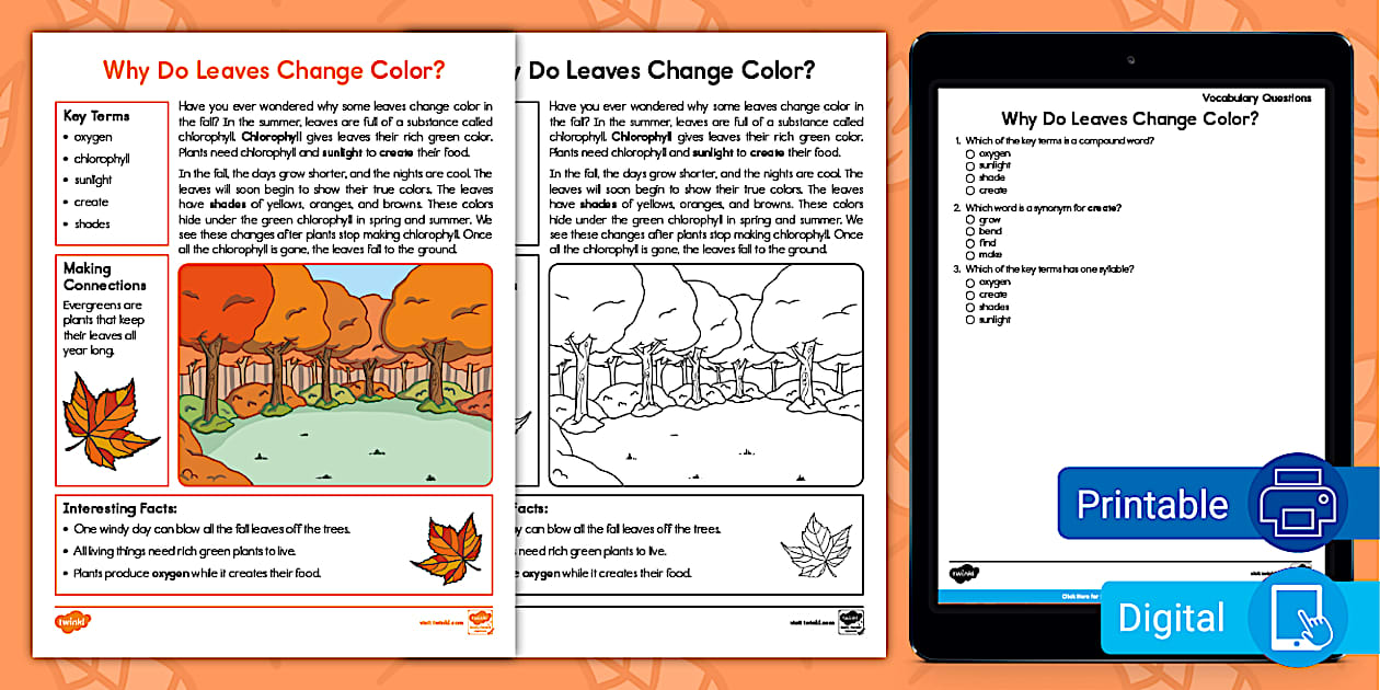 Why Do Leaves Change Color in the Fall activity | Twinkl USA