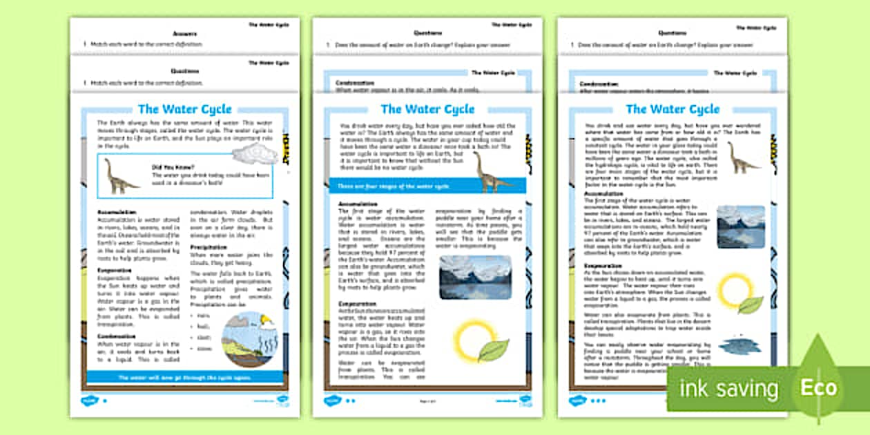 The Water Cycle Differentiated Reading Comprehension