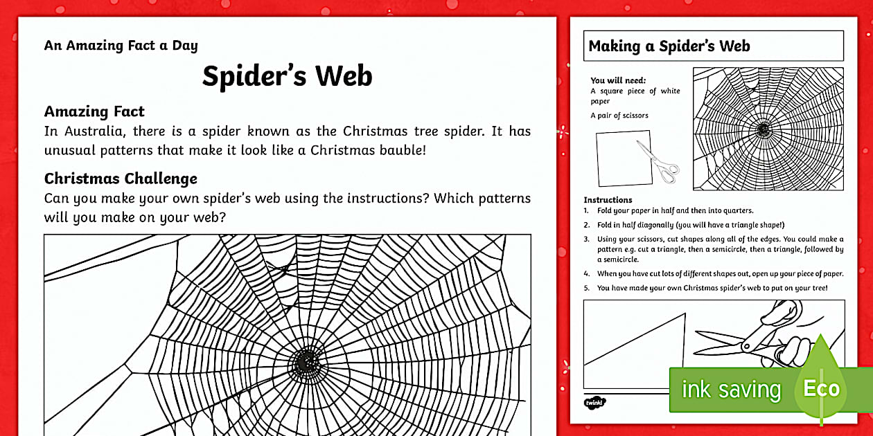 Spider's Web Worksheet / Worksheet - Twinkl