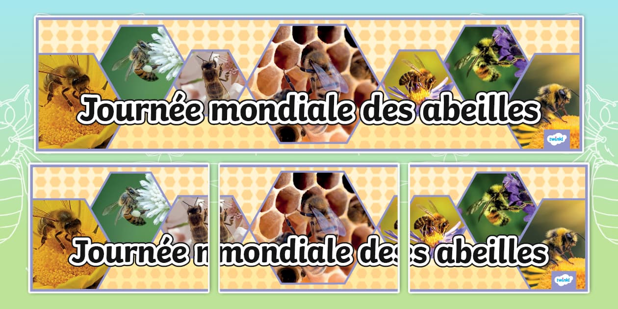 Bannière : Journée mondiale des abeilles - Twinkl