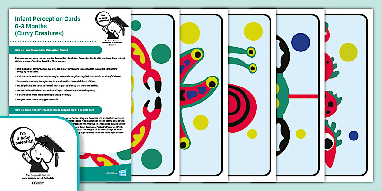 FREE! - Curvy Creatures Infant Perception Cards 0-3 Months